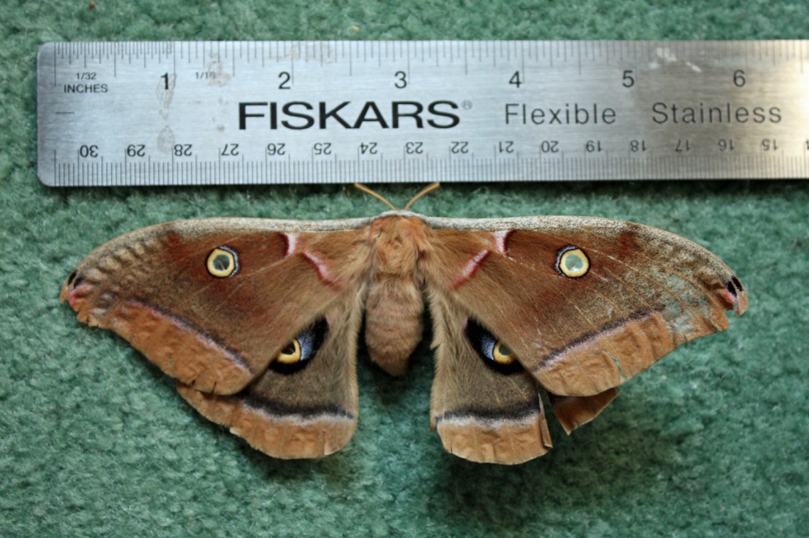 what's deb doing?: things that go bump in the night