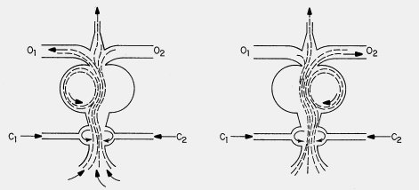 info Engineer: Fluidics
