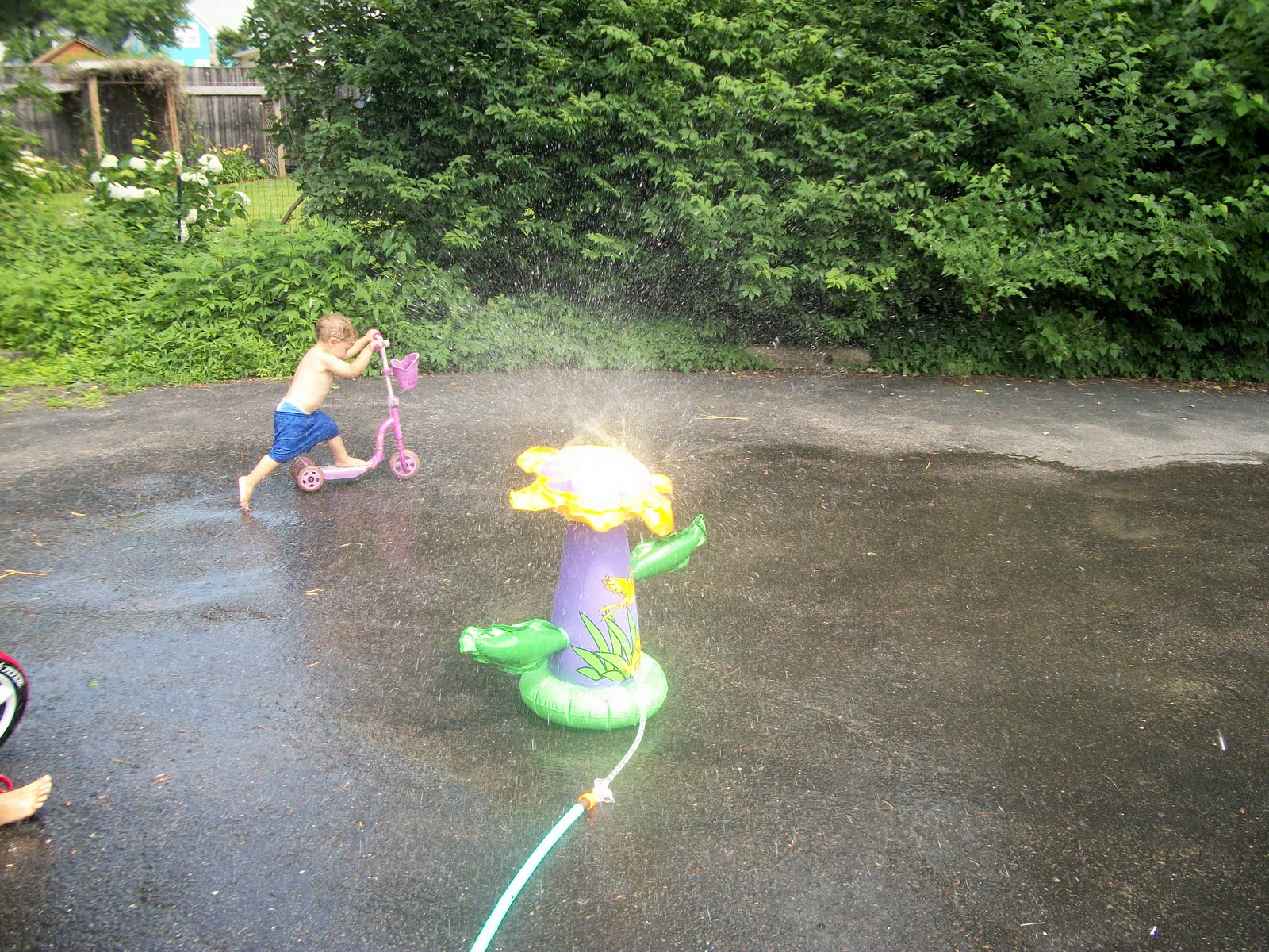 de Niall Isle: Sprinkler Summer Fun