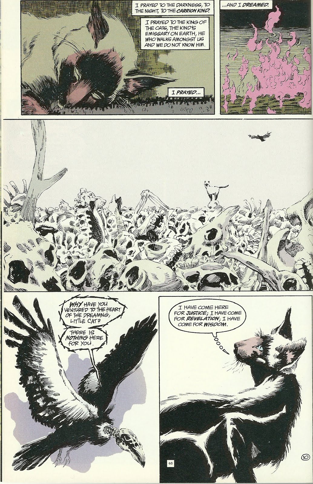 Sandman. A dream of thousand cats. | Sandman, Neil gaiman, Gaiman
