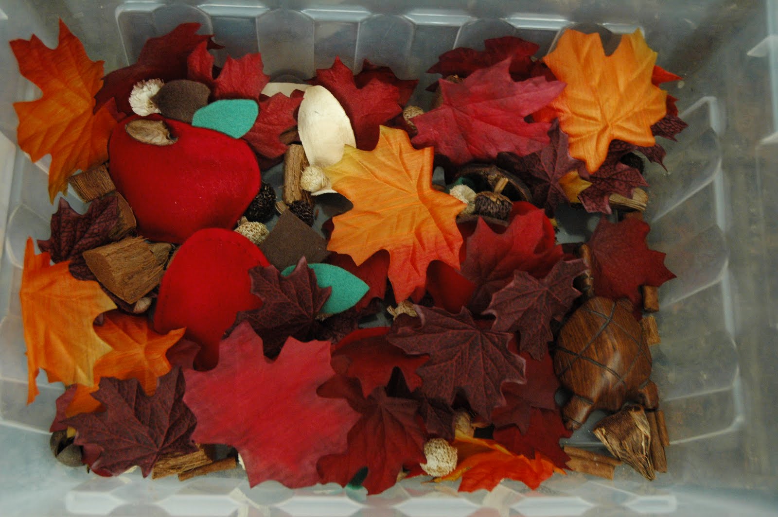 this and that: fall leaves fall