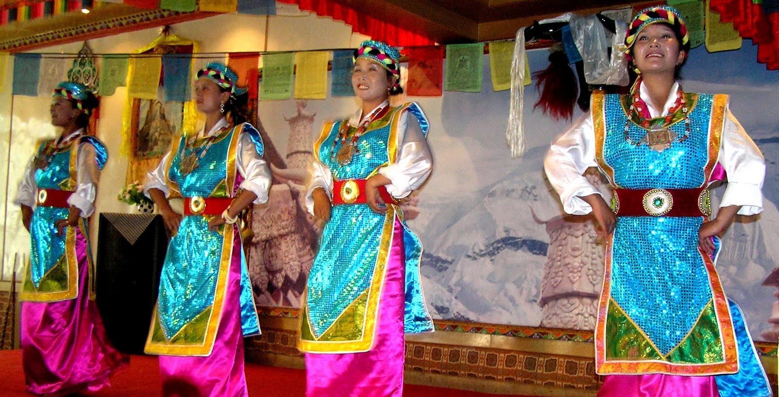 Pritam Rohila Travels