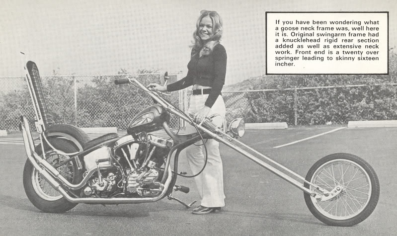 WTF is it with chopper riders??!! | Page 338 | Adventure Rider