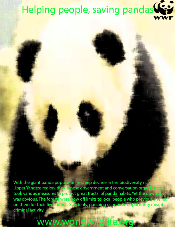 Computer Graphics: PSA: Helping people, saving pandas