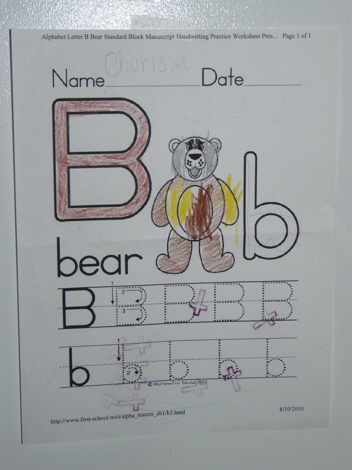 Children's Learning Activities: A week (or more) of Grizzly Bears!