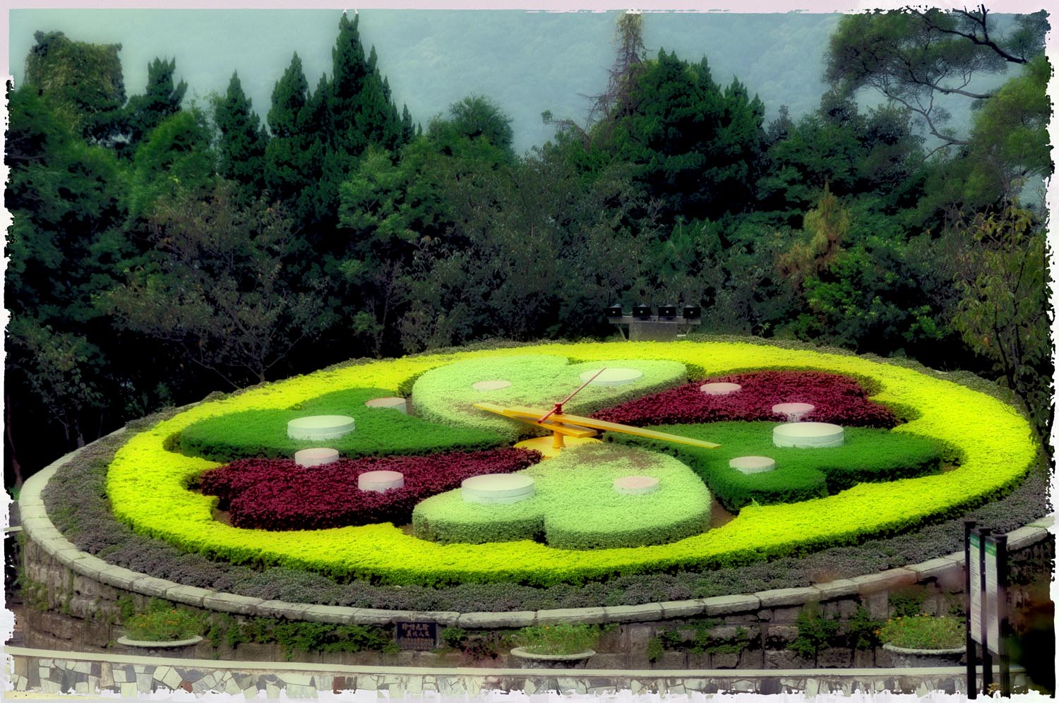 The Amazing Life: Today's Flower #101: Floral Clock of Yangmingshan