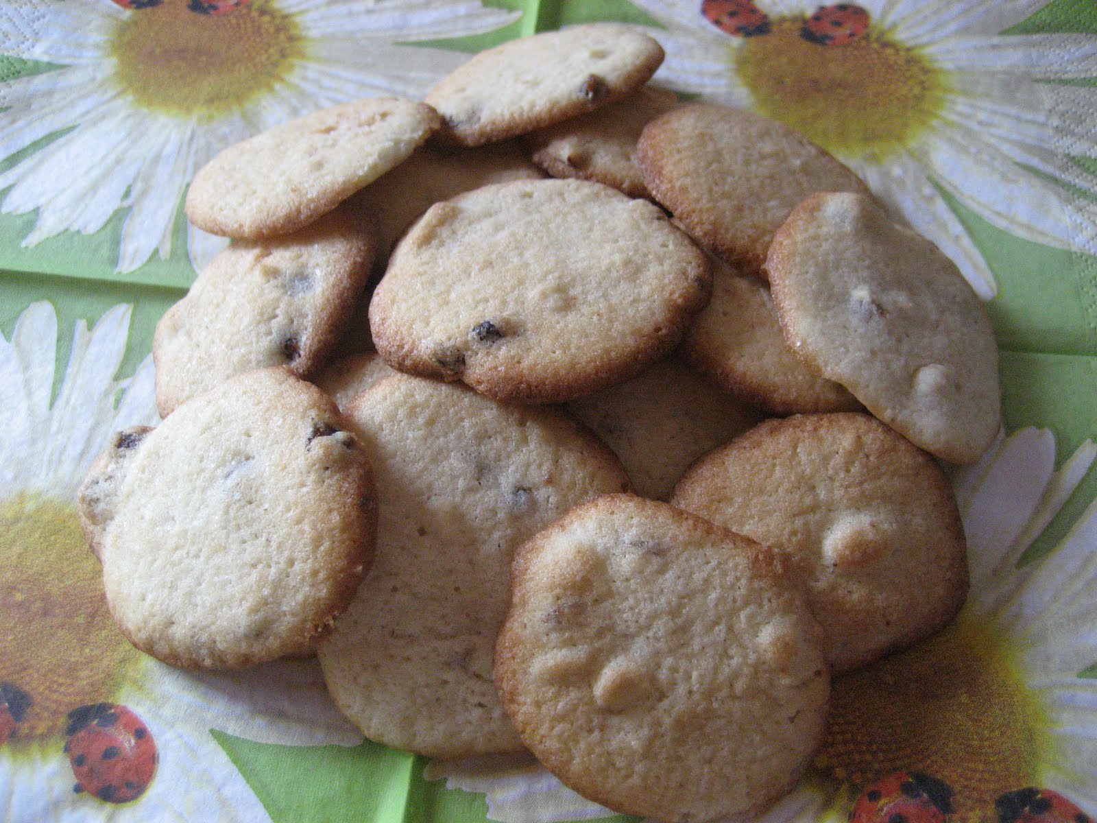 Köögikata: Küpsised (16)