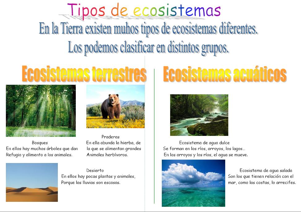 Cosas del entorno para 4º B: ESQUEMA SOBRE LOS ECOSISTEMAS