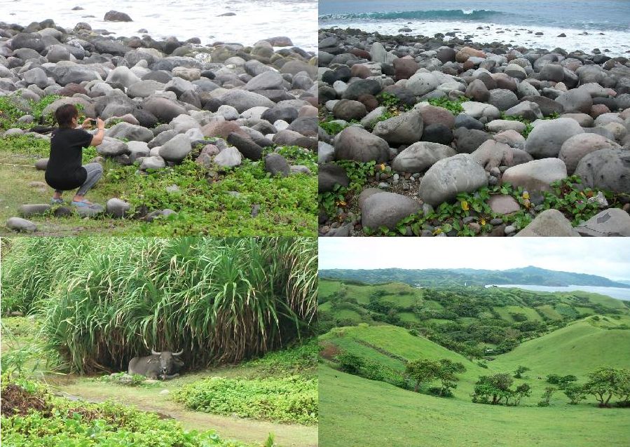 LEAVES OF GRACE: Batanes, Part 2