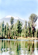 Agencia de Noticias e Información Xochimilco: Reforestación de ...