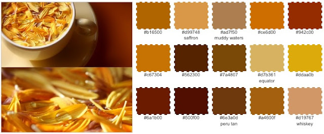 Daily Colours : Colour Palettes