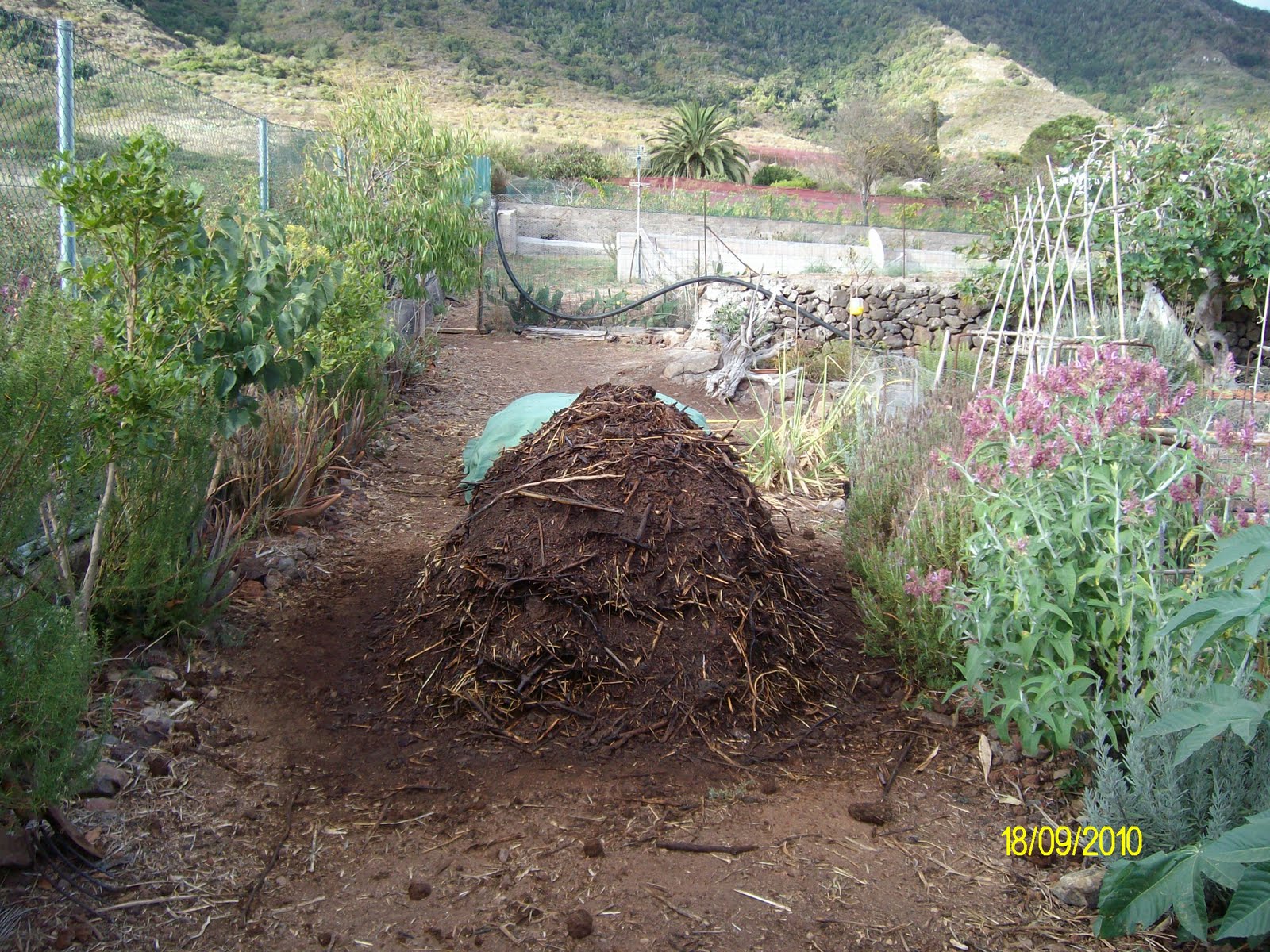 Finca Ecológica el Pilón: La pila de compost y su proceso