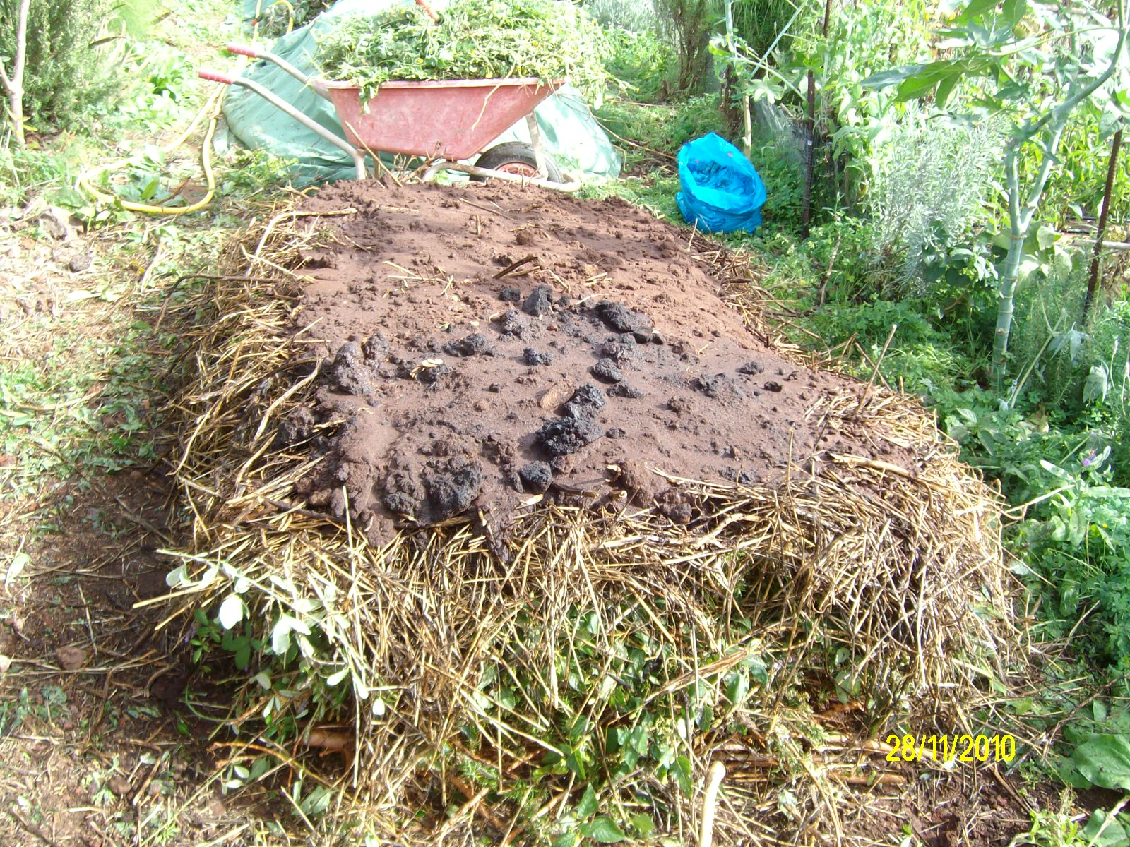 Finca Ecológica el Pilón: La pila de compost vegetal y su proceso