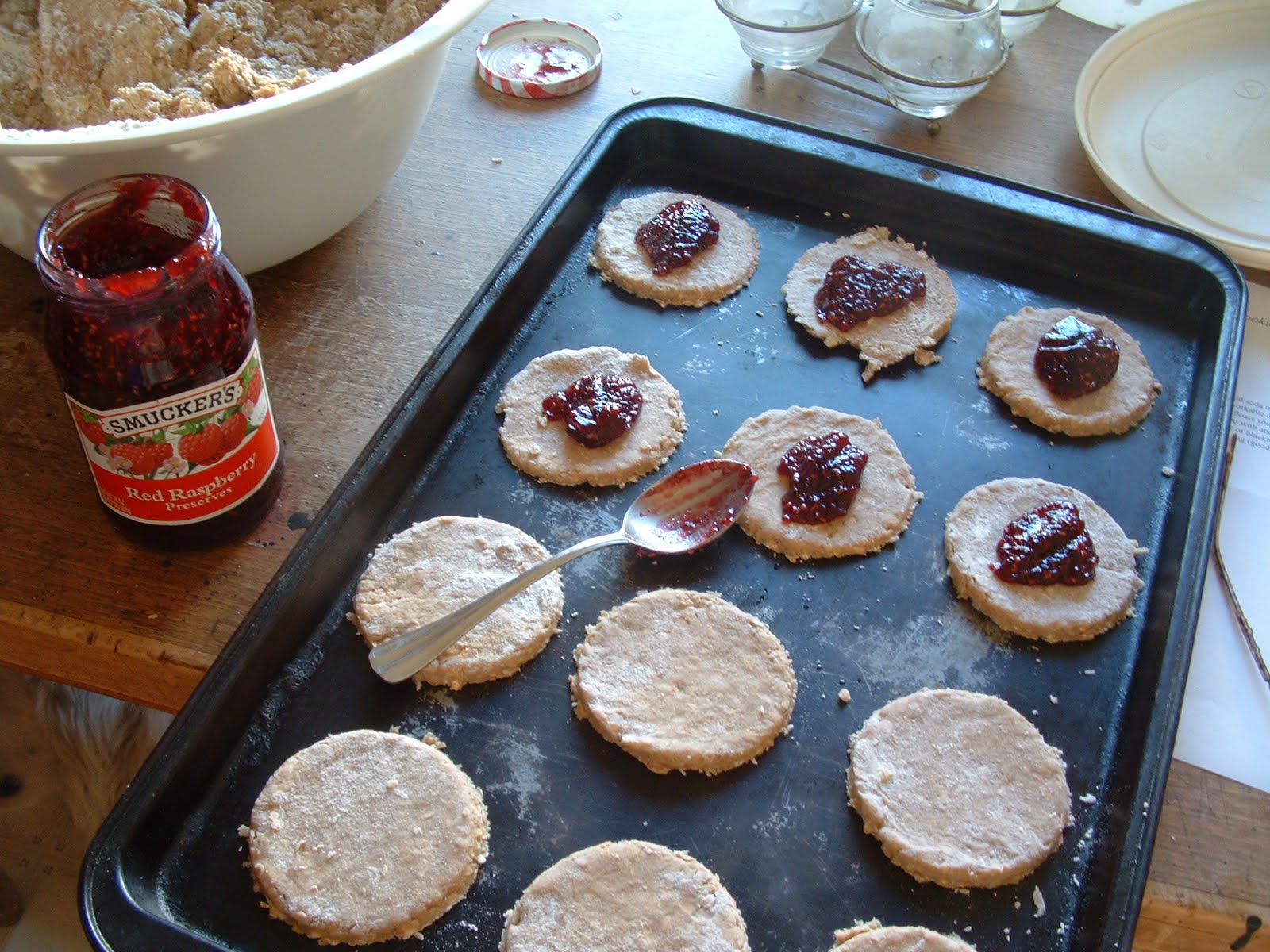 Rural Revolution: Survival cookies