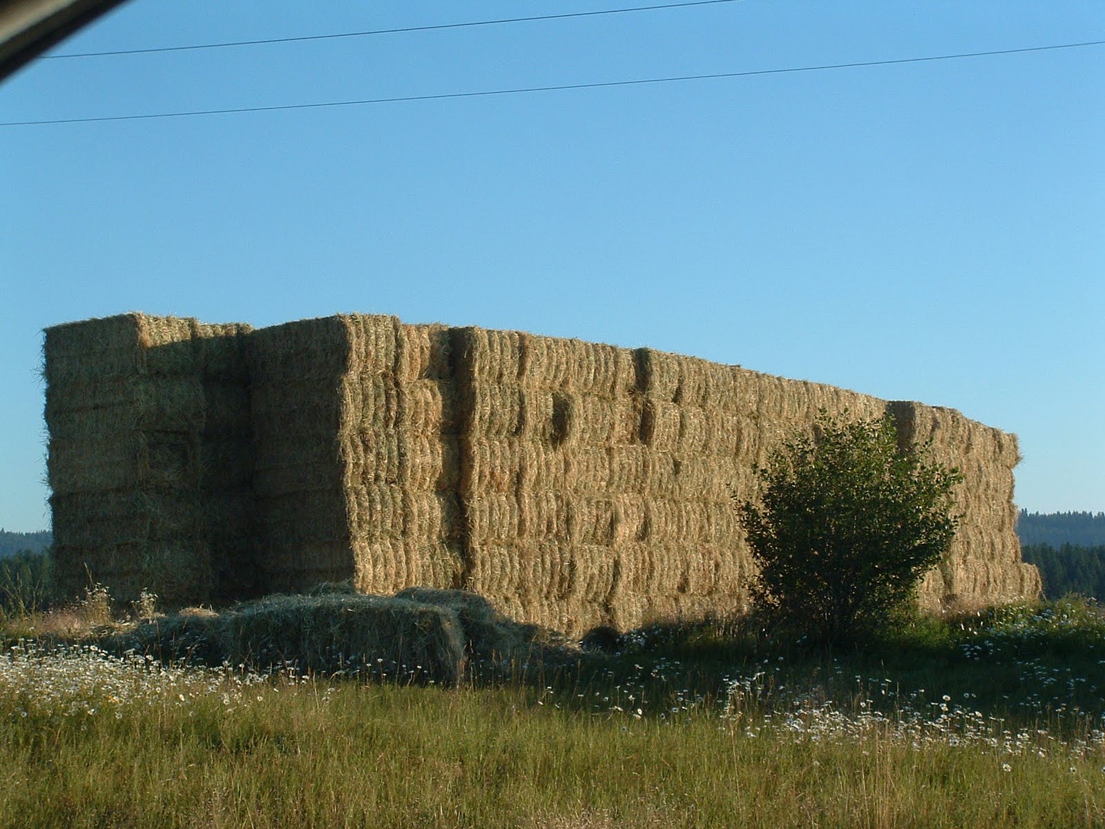 Rural Revolution: Let's hear it for internet cafes!