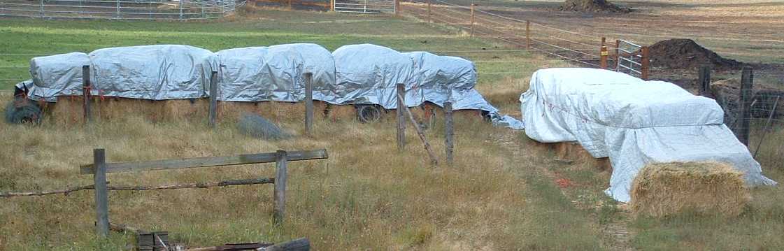 Rural Revolution: Tarping hay