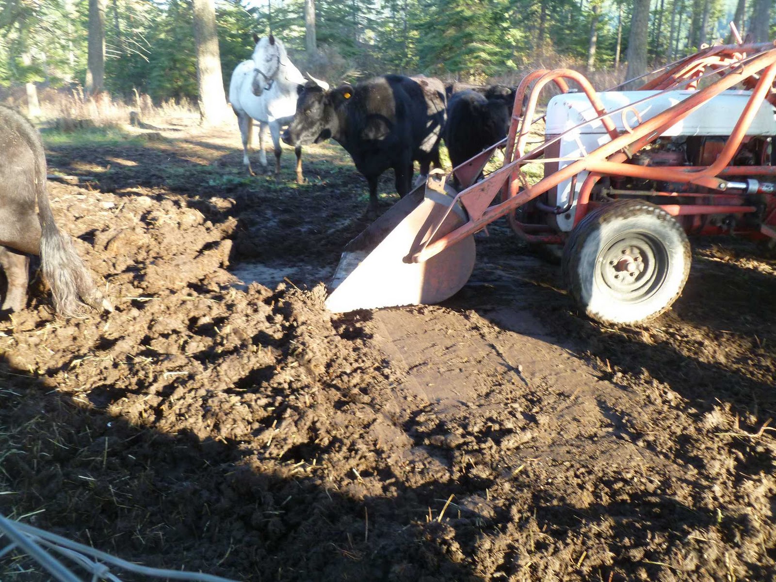 Rural Revolution: Just another manure-y day in paradise