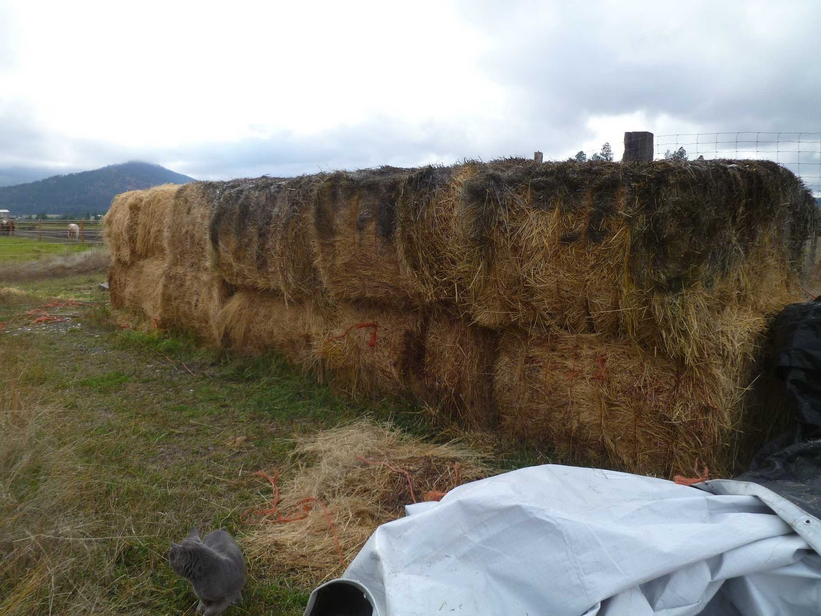 Rural Revolution: Stacking hay