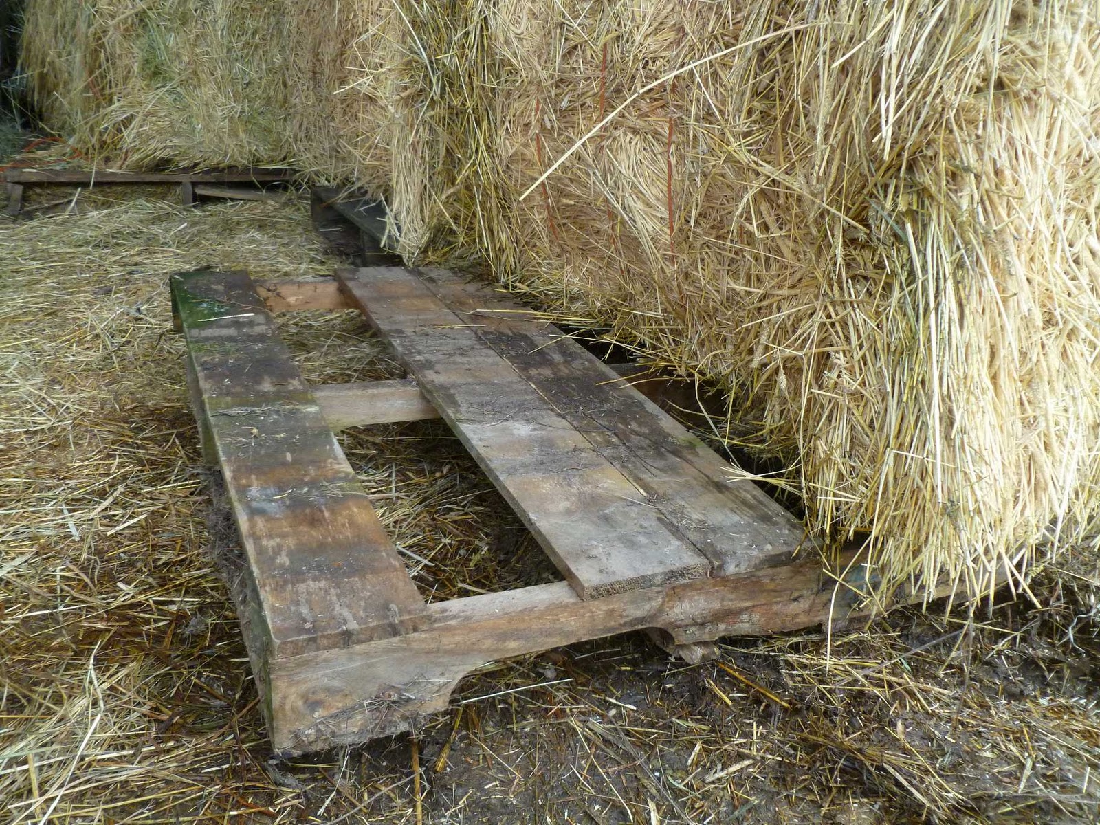 Rural Revolution: Stacking hay