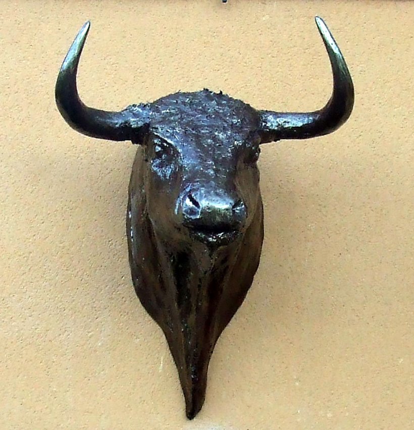 CARRETONES,AYUDAS Y ESTAQUILLADORES PARA EL ARTE DEL TOREO: CABEZA DE ...