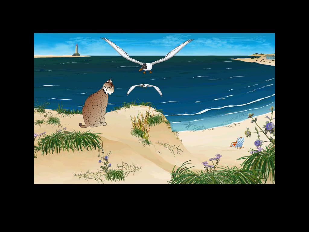 SeltsameSpiele: Don Cato - Die Rückkehr des Luchses