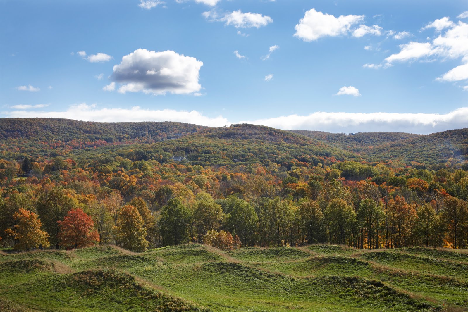 whispers from the yew: Storm King Art Center