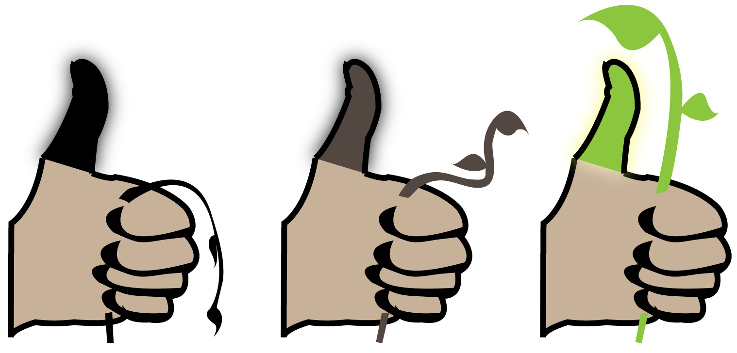 This Fresh Fossil: What Color is my Thumb: Results