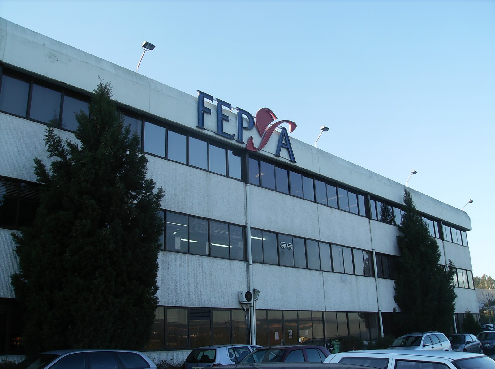 O Mundo do Emprego em São João da Madeira: Empresas sanjoanenses - Fepsa