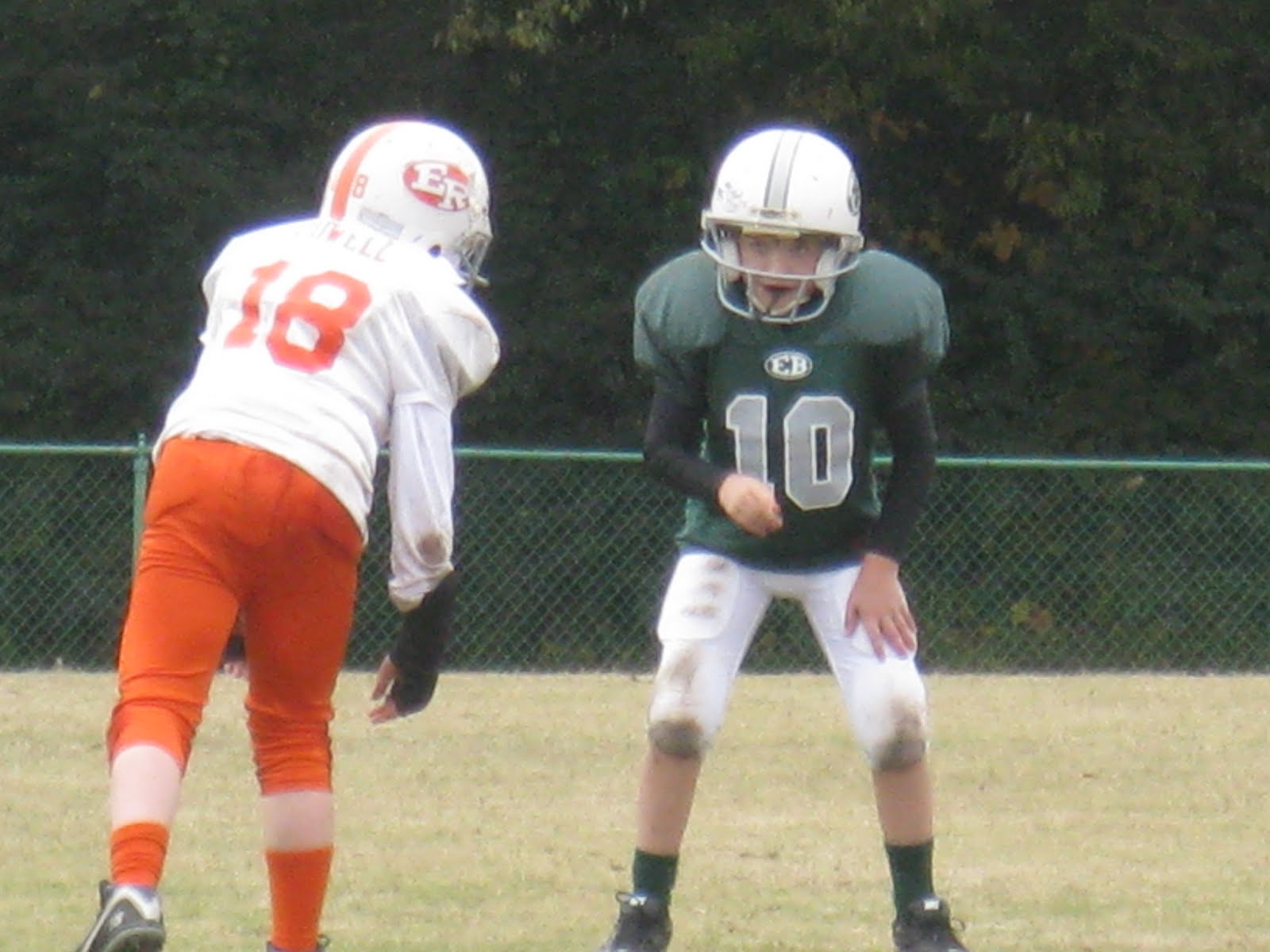 The Fabulous Fishbowl: November 2009