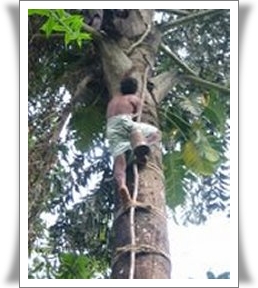 Heritages of Sri Lanka: Man And Nature