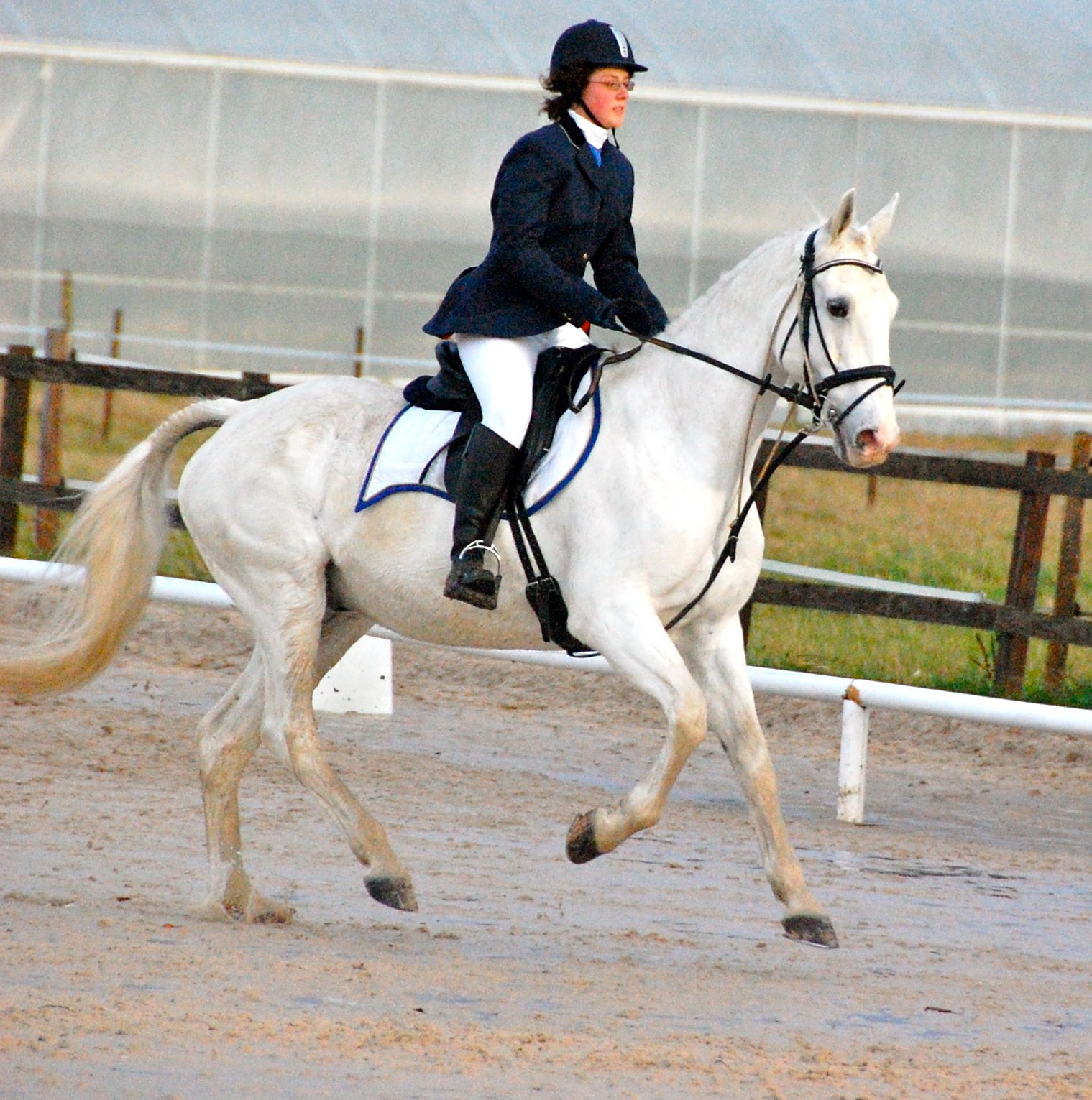 Photos: Concours de Dressage Milly la forêt