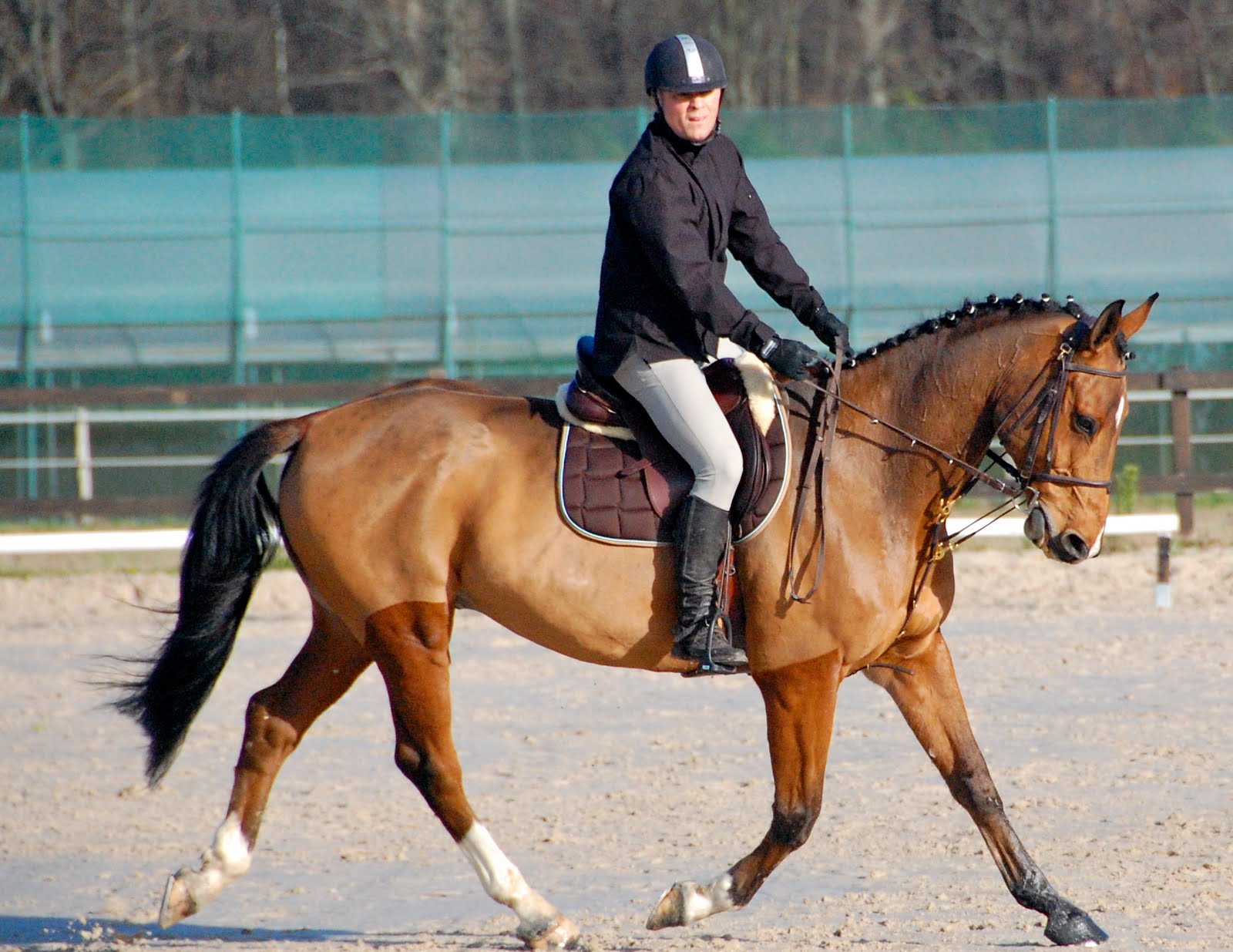 Photos: Concours de Dressage Milly la forêt