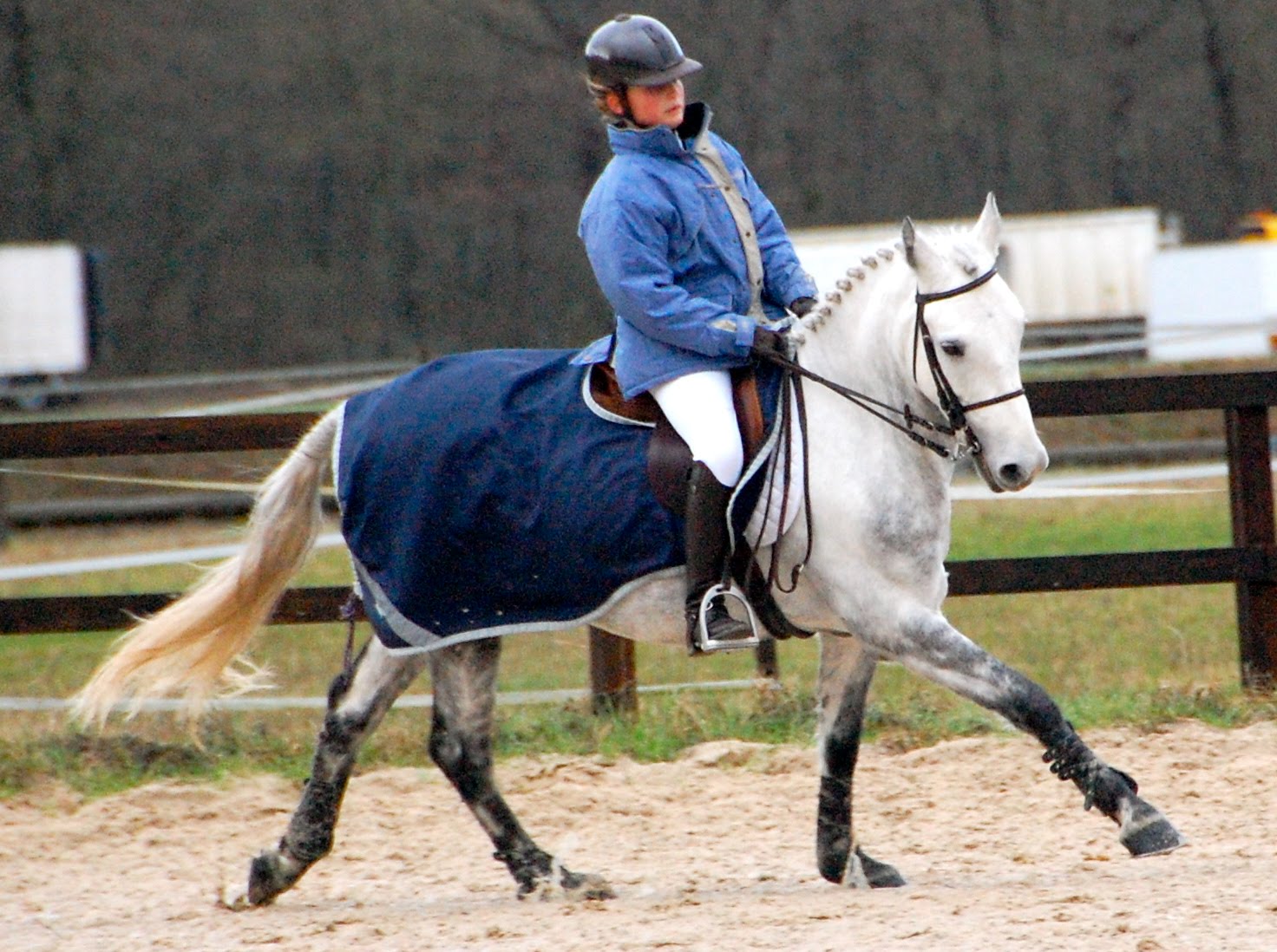 Photos: Concours de Dressage Milly la forêt