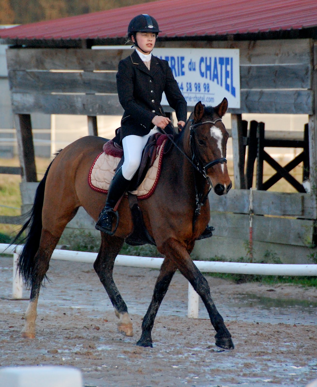 Photos: Concours de Dressage Milly la forêt