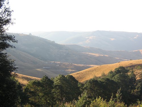 Prone to Wander: Lovely beyond any singing of it