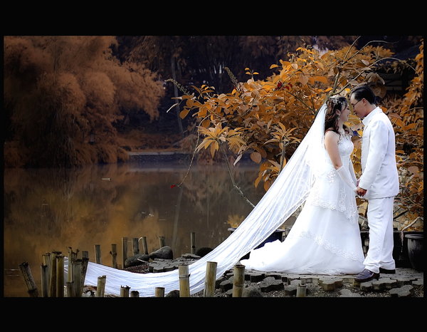 Gallery Wedding Photography - Photography Gallery