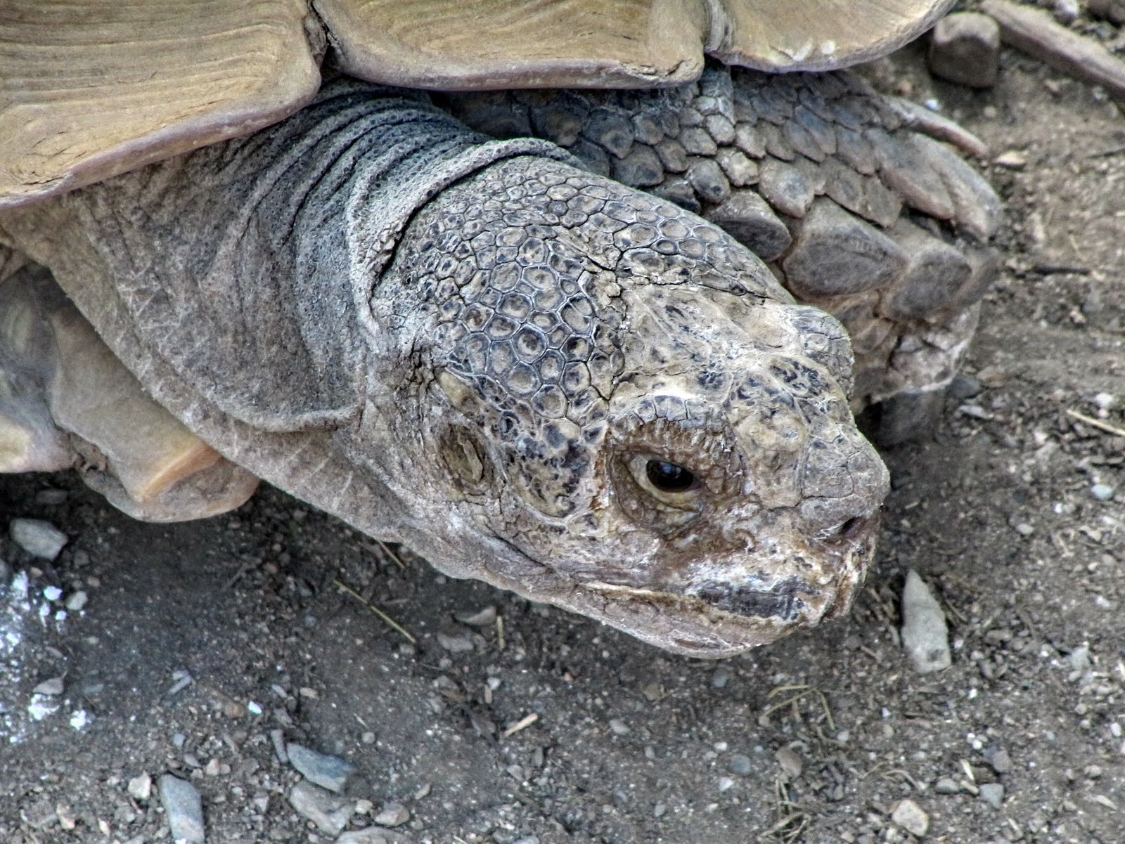 Instantes: octubre 2010