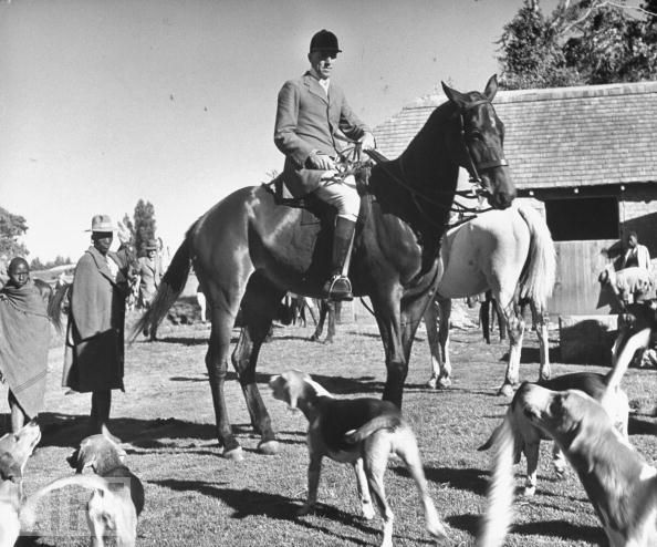 Admiral Cod: The Kenya Hunt