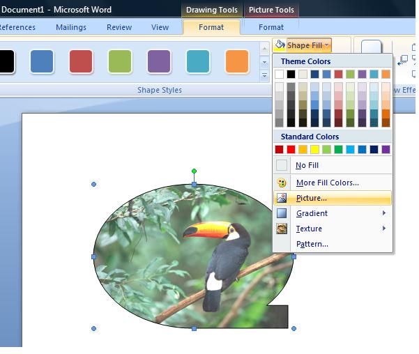 Get in Shape with AutoShape!