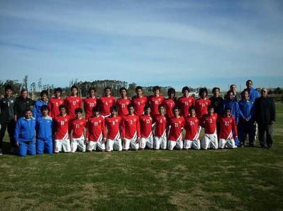 Gerakan untuk indonesia