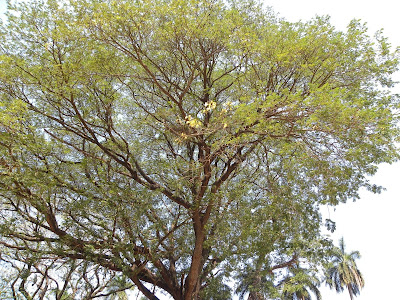 The World in Pictures