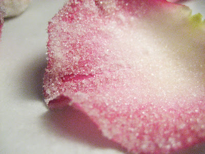 Sweet Tweets Bakery: Candied Rose Petals Cake: Housewarming!