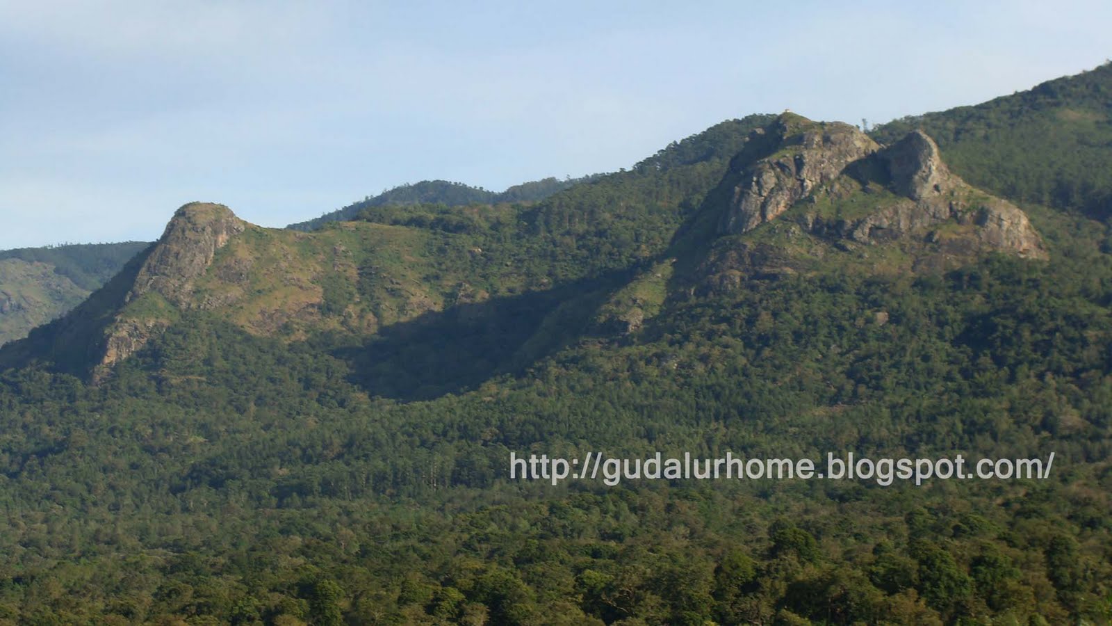 Gudalur Pictures: Welcome to My GudaluR Home