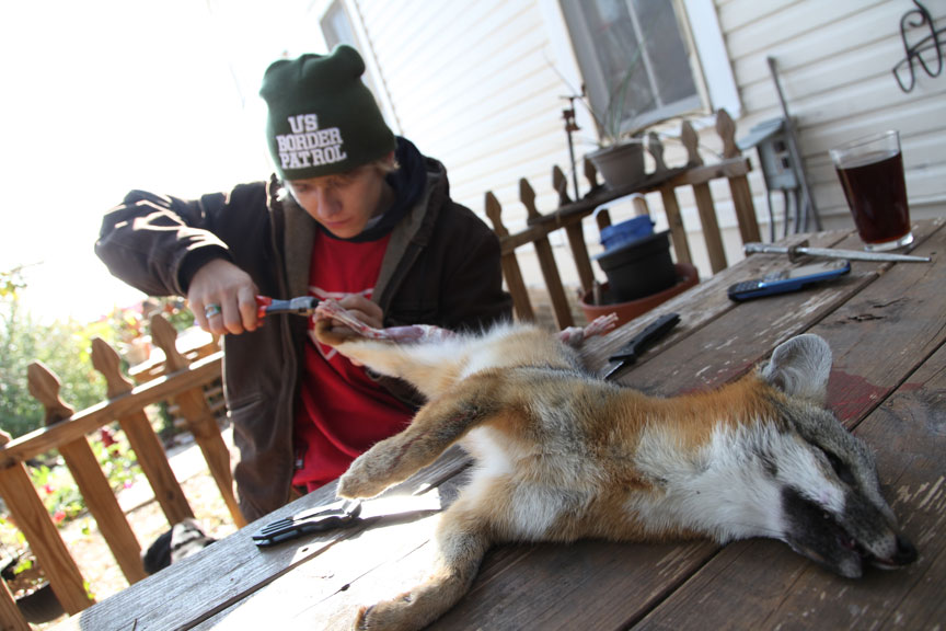 Nocturnal Emissions: Skinning Fox