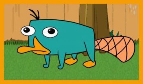 Perry the platypus