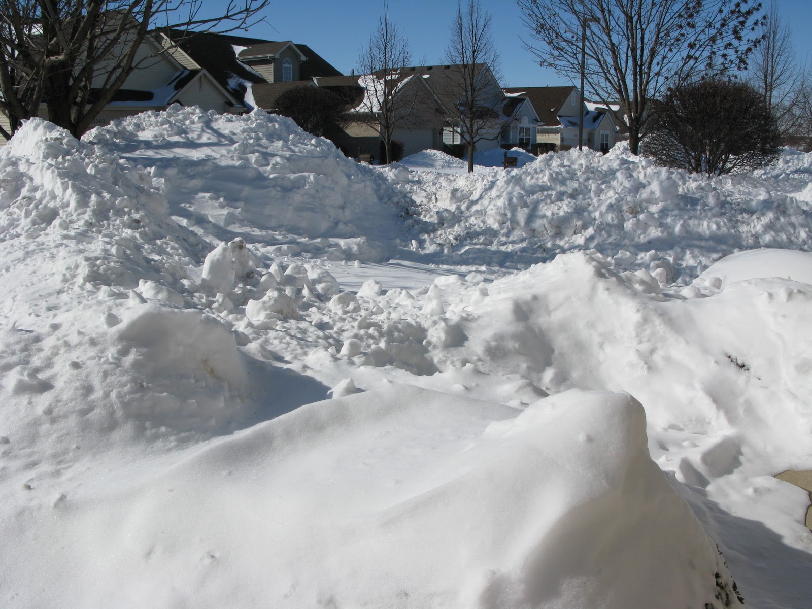 Meandering...: Chicago Blizzard Photos ~ Again