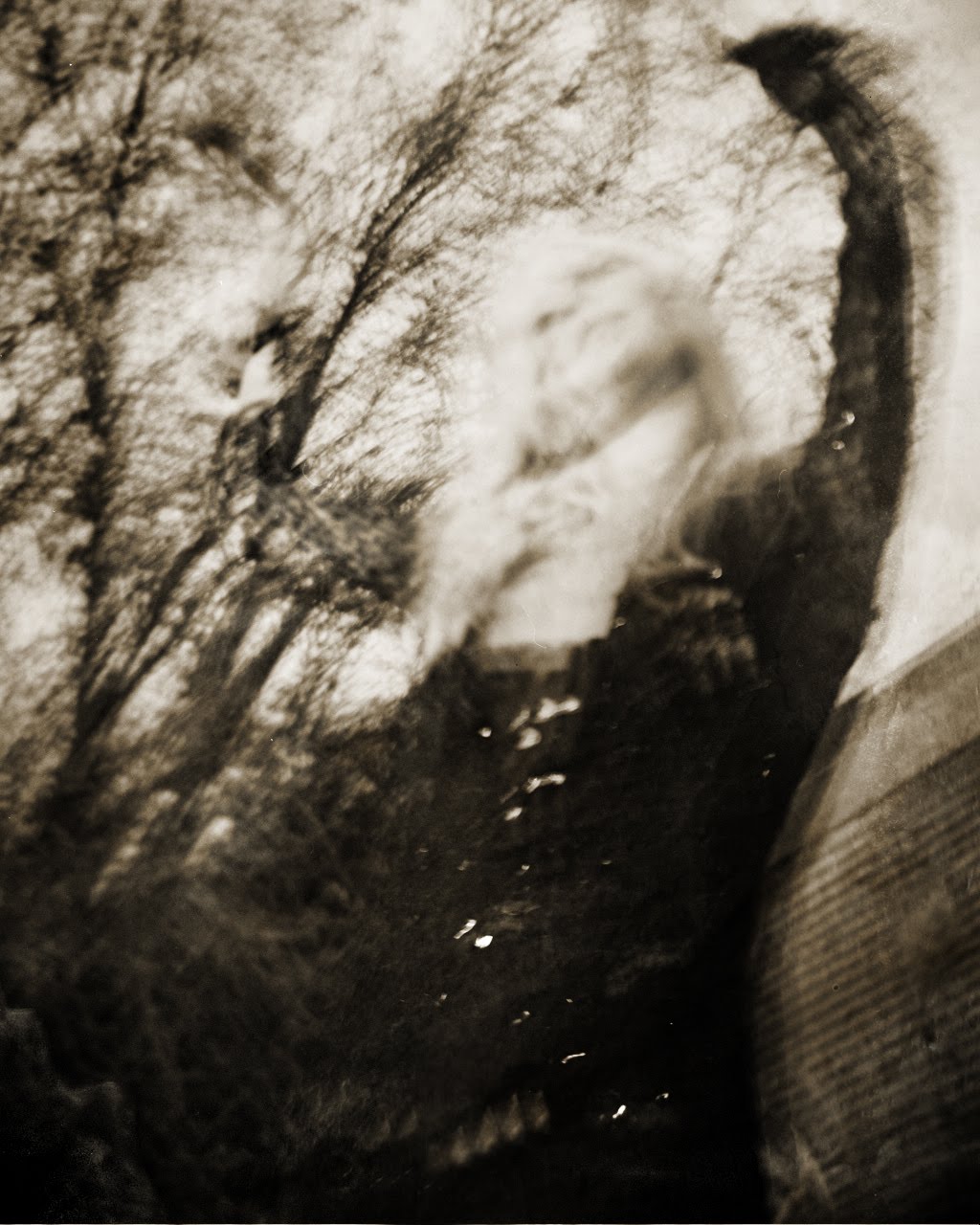 Flaneur & Dandy: Victorian Risque