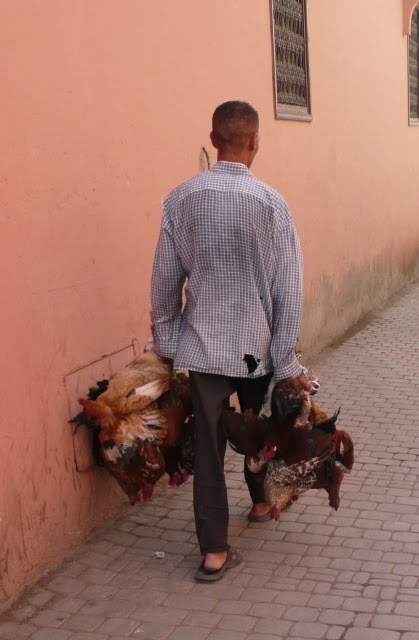 Yann and Catherine's Global Undertaking: Marrakech (and its impish ...