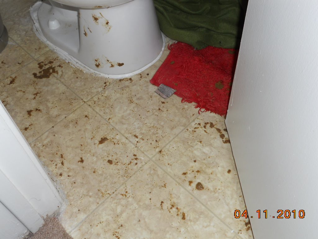 Family Ties: Poop Explosion...