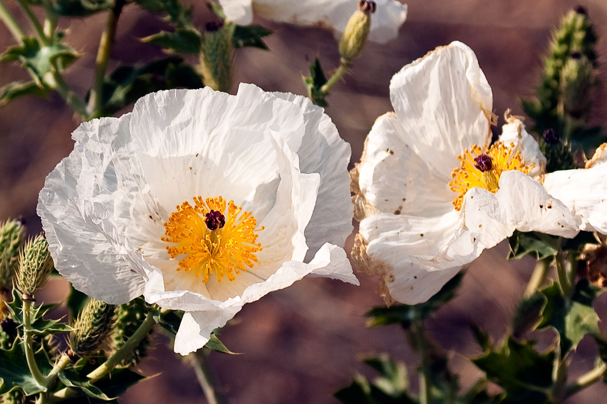 Dean's Travel Blog: Pike's Peak & Rocky Mountain National Park
